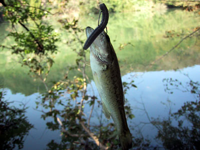 何とも可愛い子バスが・・・