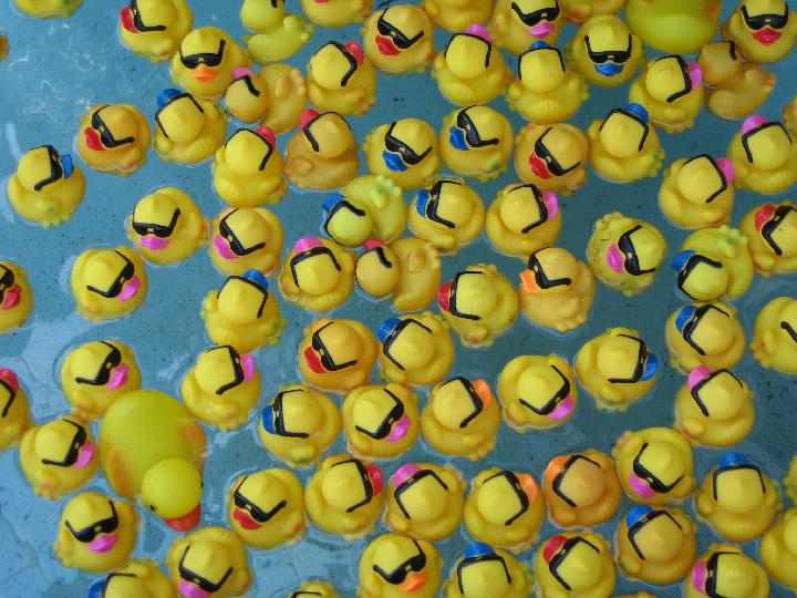 コモン6: IMG_0514